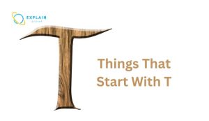 600 Images & Destail of Things That Start With T